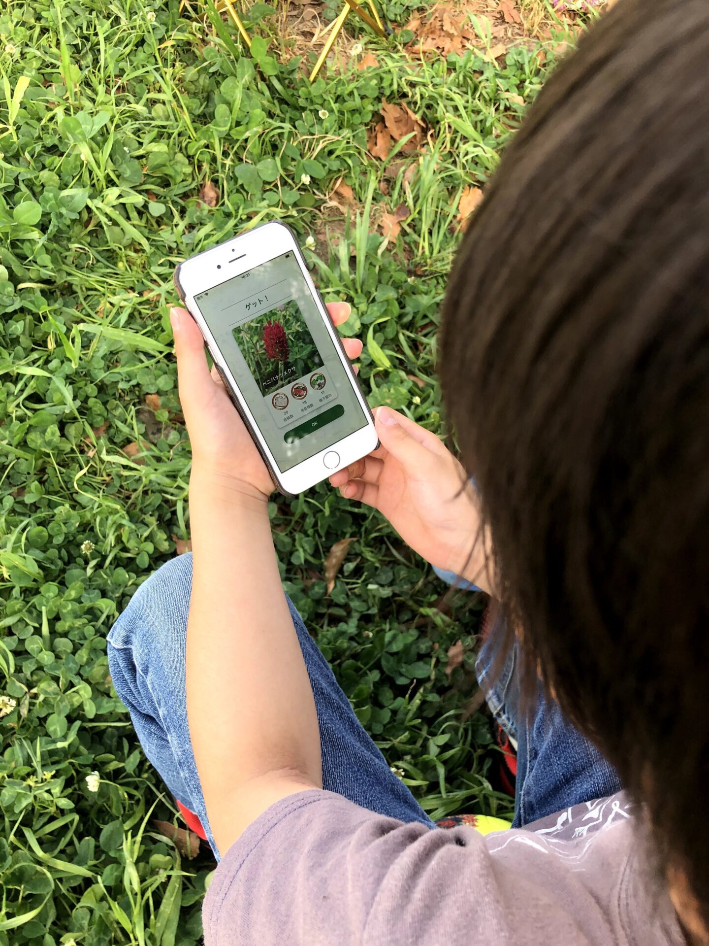 【生きもの図鑑を完成させて景品ゲット！】動植物の名前が分かるスマホアプリ「Biome（バイオーム）」を使った、岡崎市民参加型の自然環境調査 ...