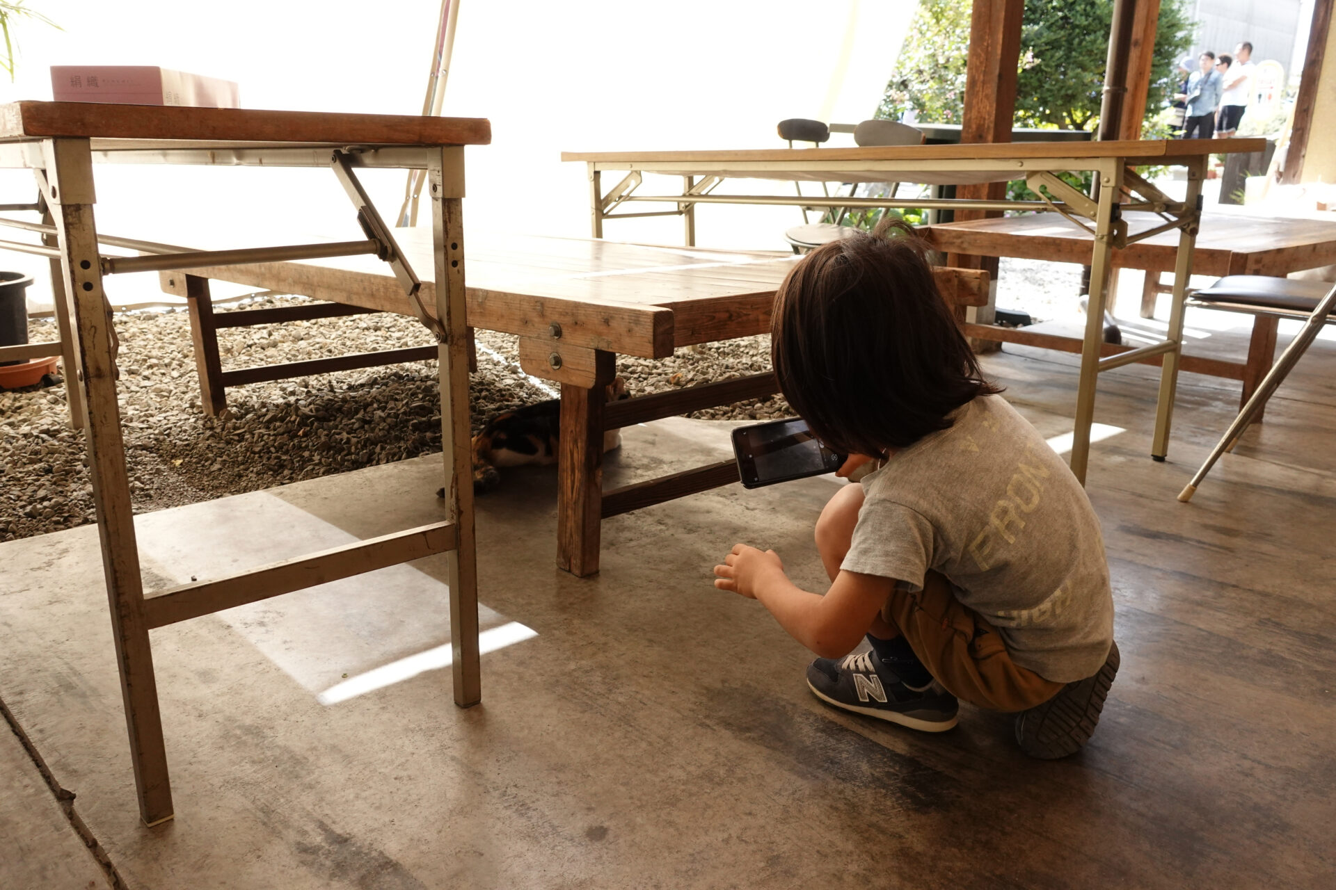 【生きもの図鑑を完成させて景品ゲット！】動植物の名前が分かるスマホアプリ「Biome（バイオーム）」を使った、岡崎市民参加型の自然環境調査 ...