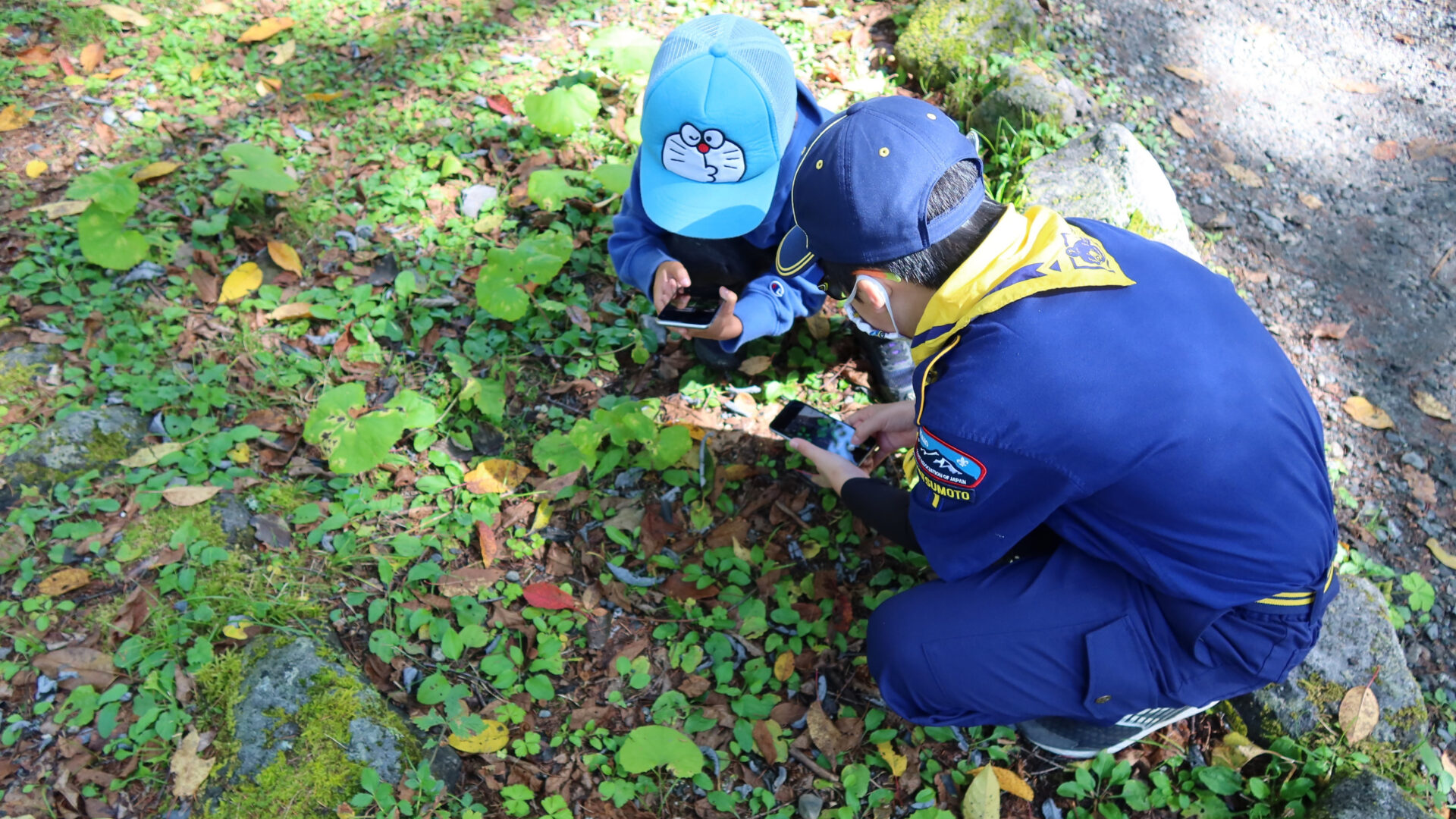 【生きもの図鑑を完成させて景品ゲット！】動植物の名前が分かるスマホアプリ「Biome（バイオーム）」を使った、岡崎市民参加型の自然環境調査 ...